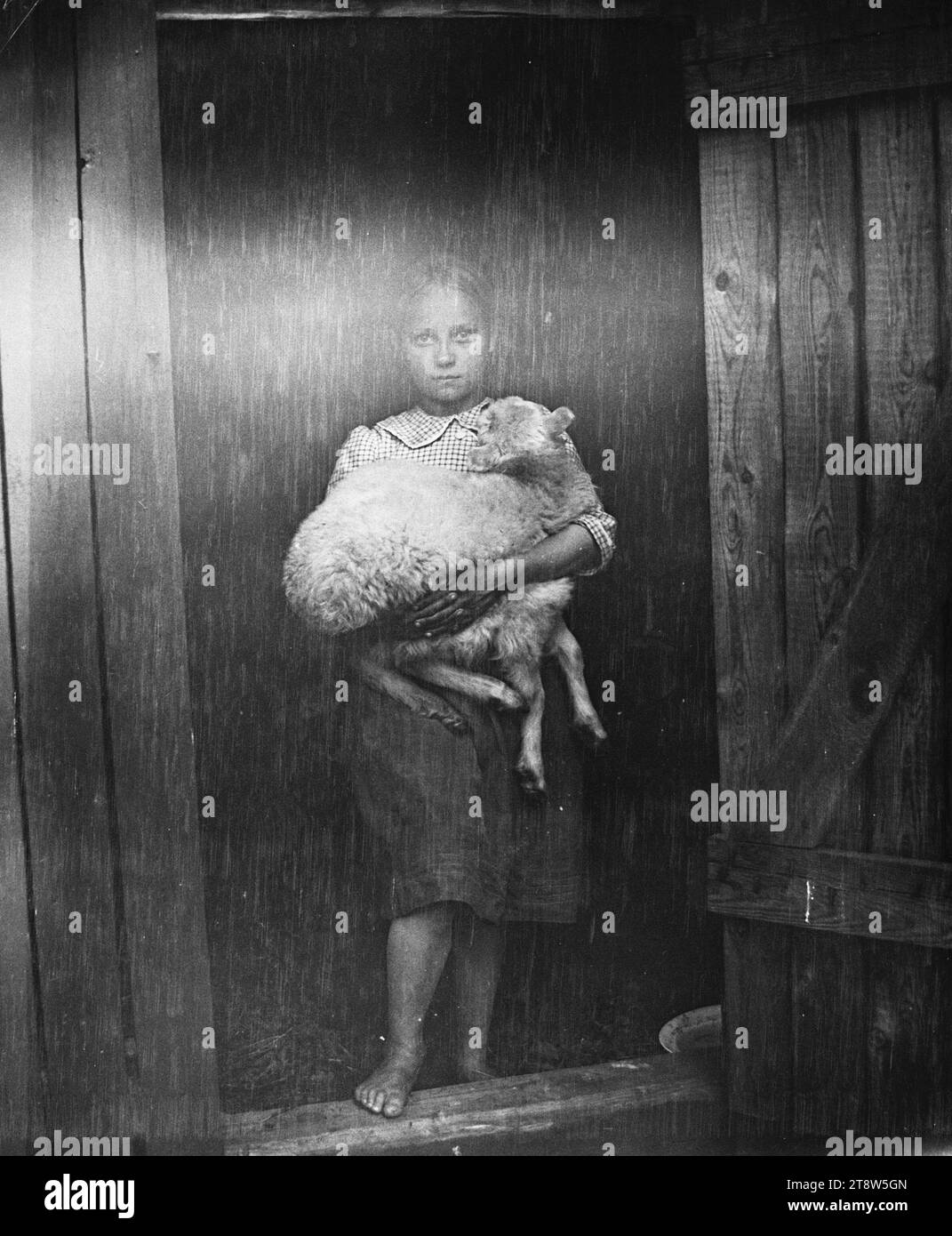 Hugo Simberg, 24.6.1873, Hamina, 12.7.1917, Ähtäri, Sheep girl, Hilma ...