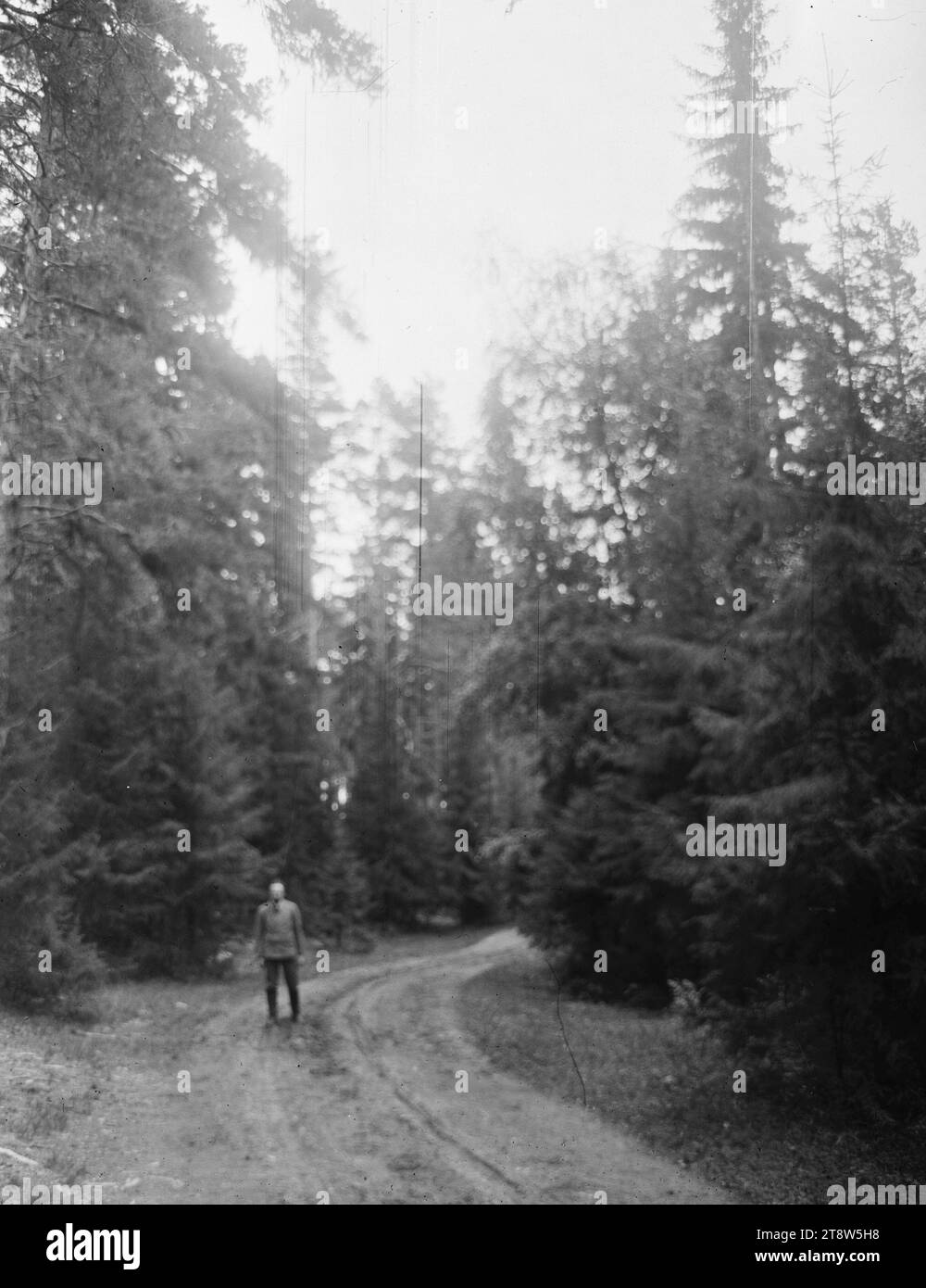 164 119 mm hi-res stock photography and images - Alamy