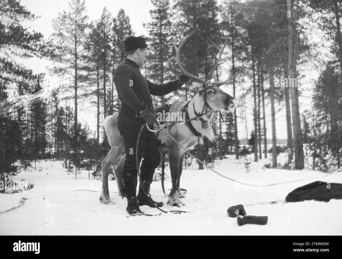 Werner astrom hi-res stock photography and images - Alamy