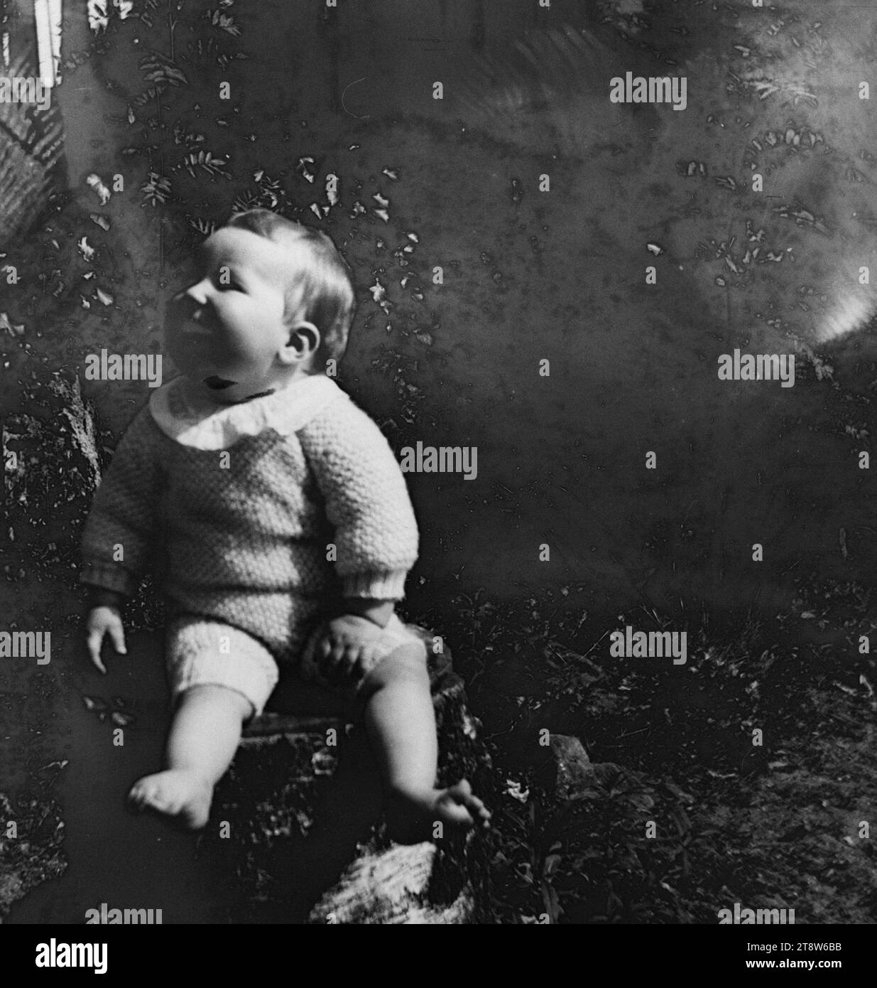 Hugo Simberg, 24.6.1873, Hamina, 12.7.1917, Ähtäri, Tom Simberg in the ...