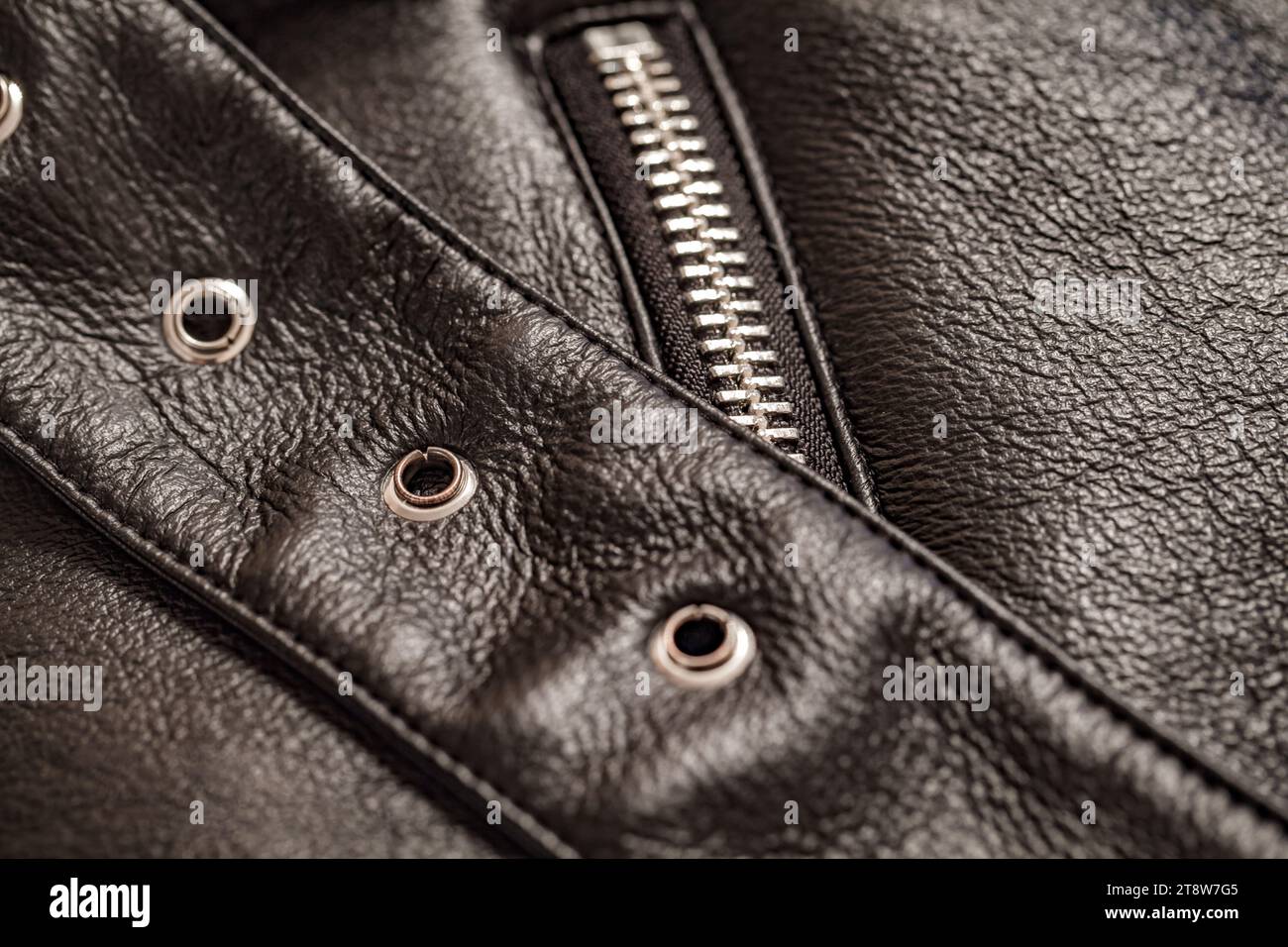 Zipper closure with metal teeth clothing belt with metal bushings-holes ...