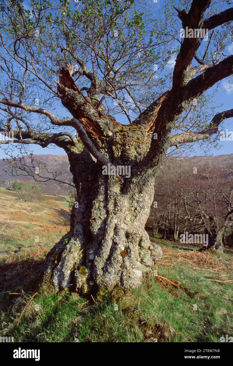 May 1994 hi-res stock photography and images - Alamy