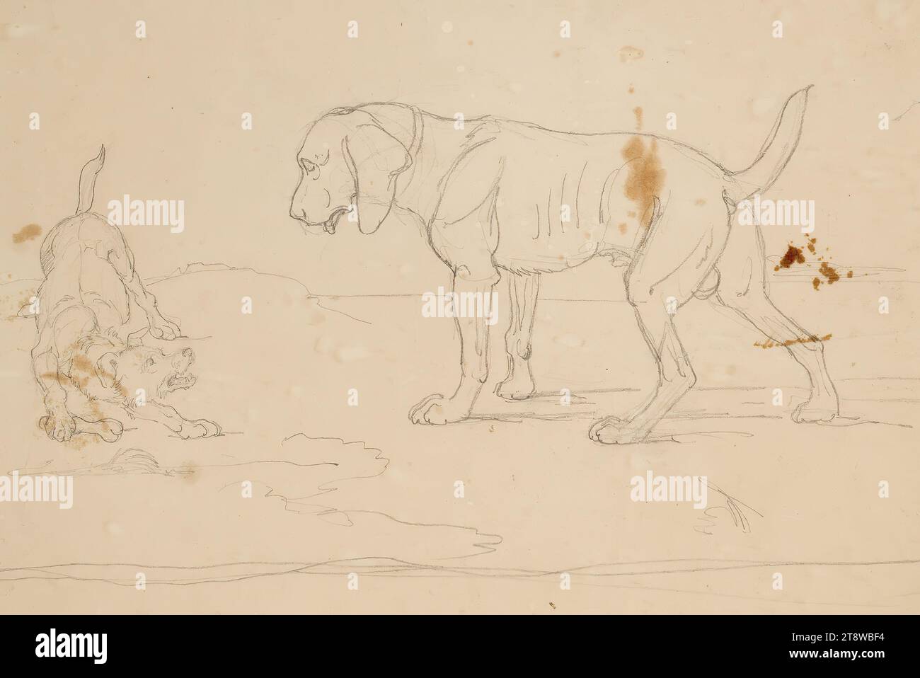 Dogs fighting bone hi-res stock photography and images - Alamy