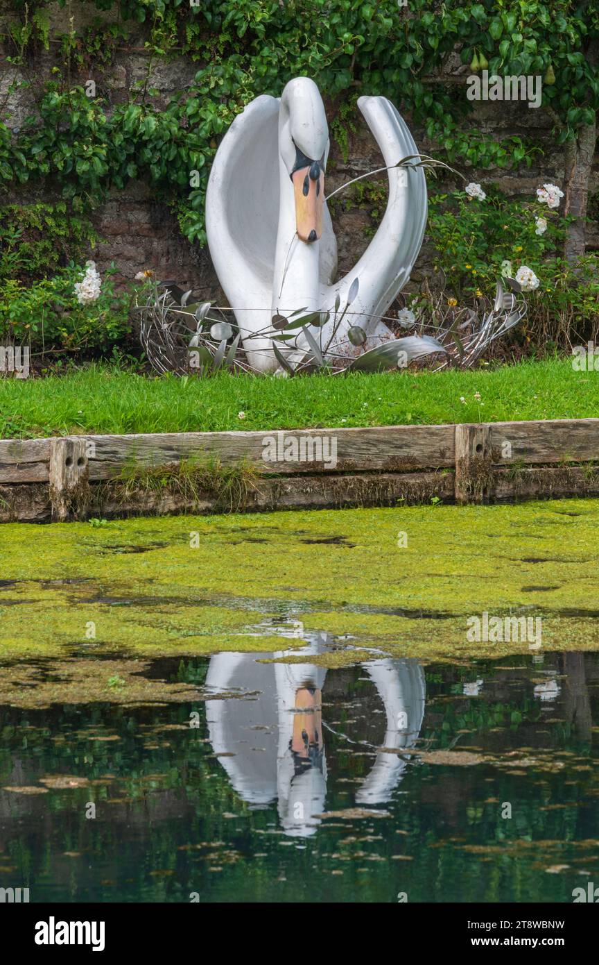 Wells bishops palace swans duck hi-res stock photography and images - Alamy