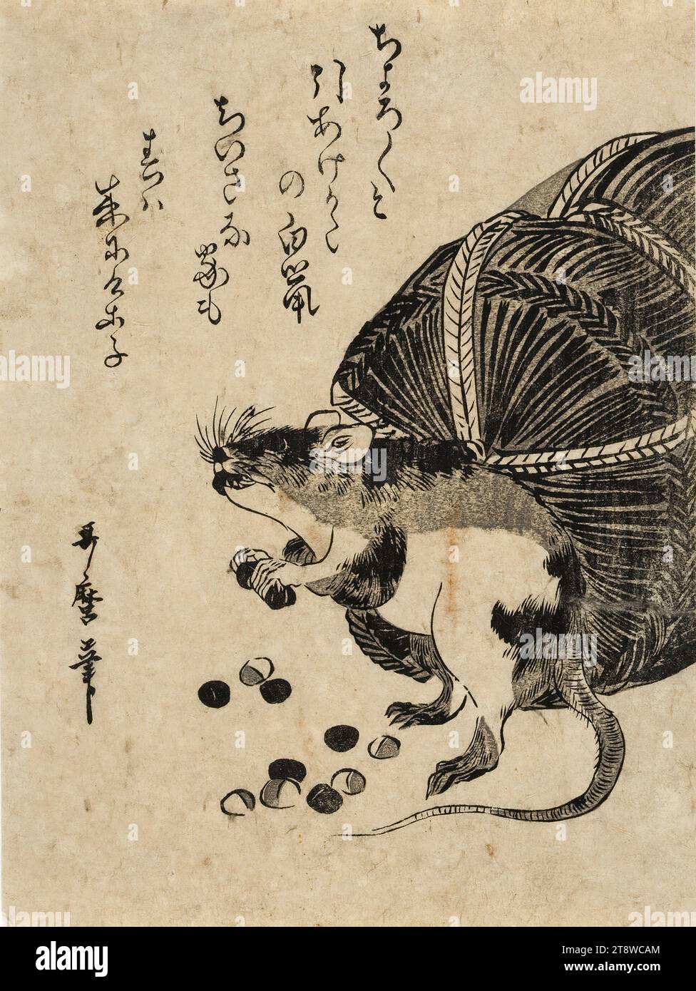 Rice mouse hi-res stock photography and images - Alamy