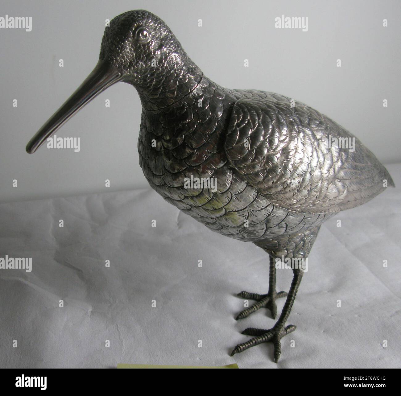 Unknown bird hi-res stock photography and images - Alamy