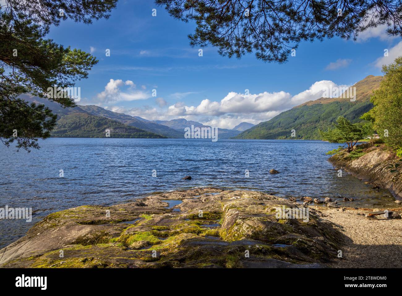 North across Loch Lomond at Rowardennan, Stirlingshire, Scotland Stock ...