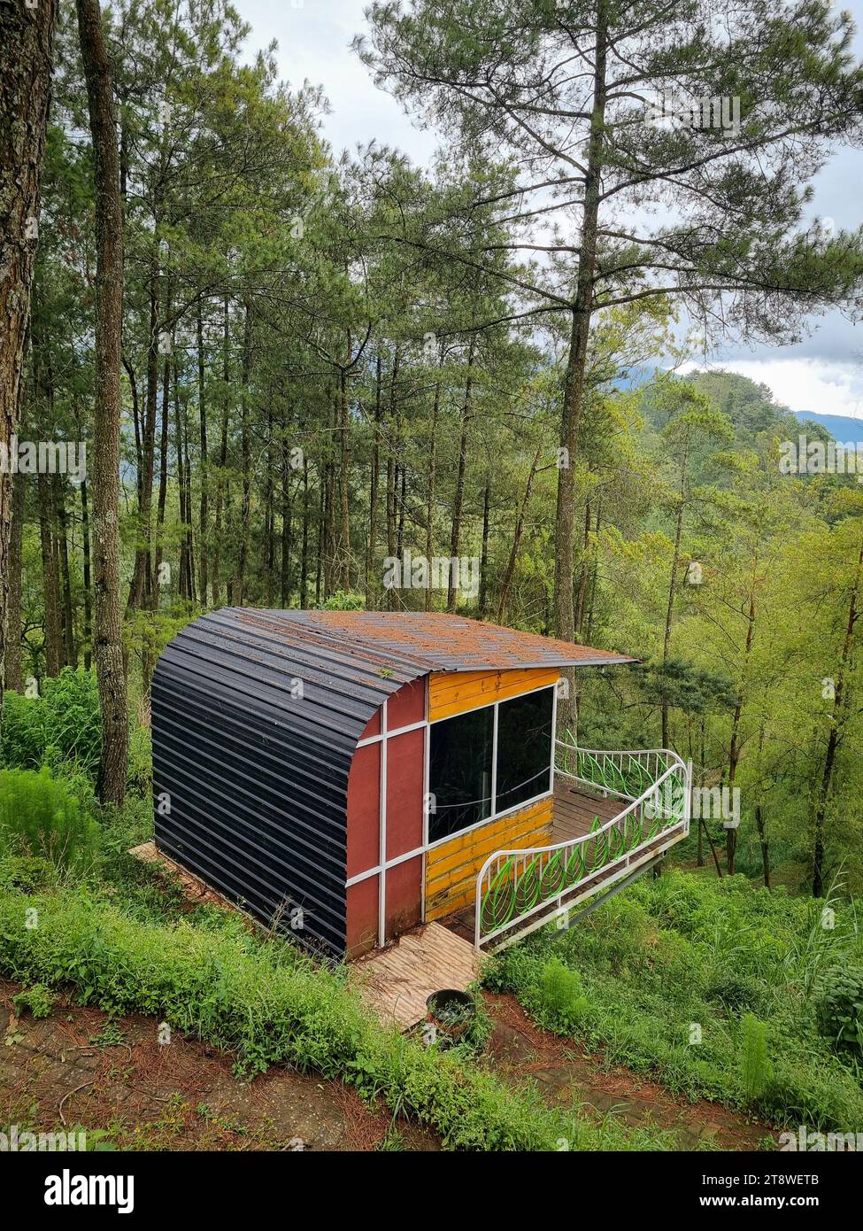 Wooden cottage in pine forest green on nature trail. Wooden house or ...