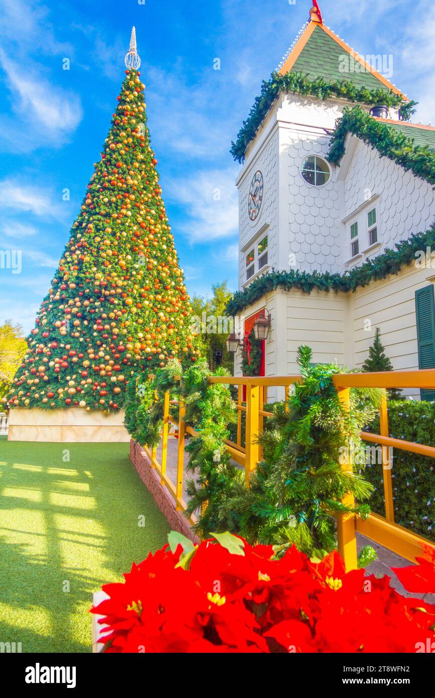 Gift live christmas tree hi-res stock photography and images - Alamy