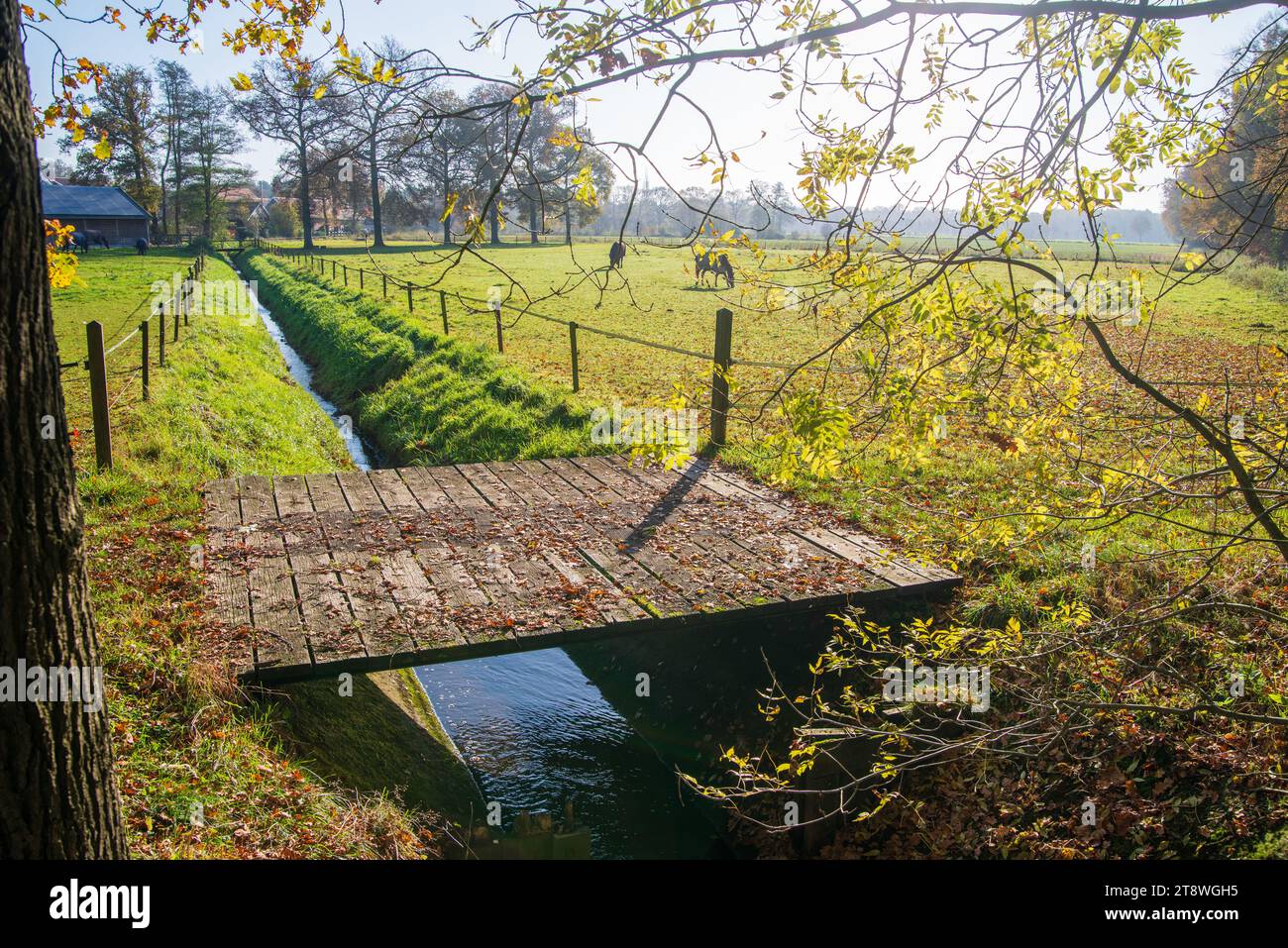 small wooden footbridge over a ditch used for cattle to walk to another ...