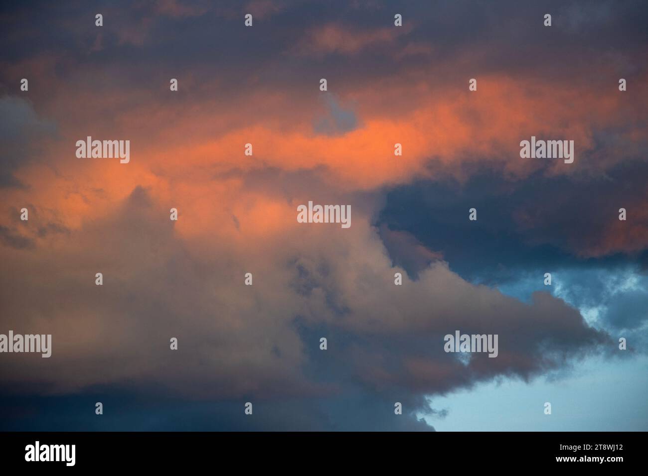 At the end of a hot day a cumulus cloud is growing and a rain storm ...