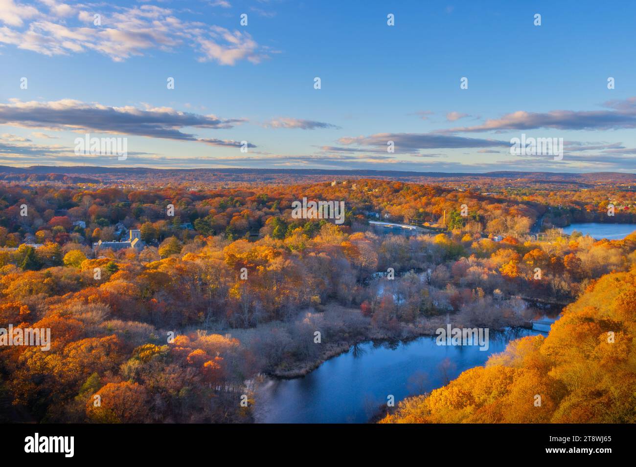 Fall foliage in the city Stock Photo - Alamy