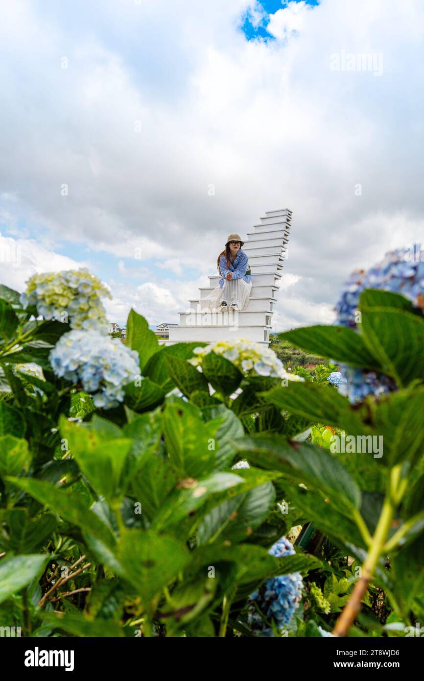 Young woman traveler enjoying with blooming hydrangeas garden in Dalat ...