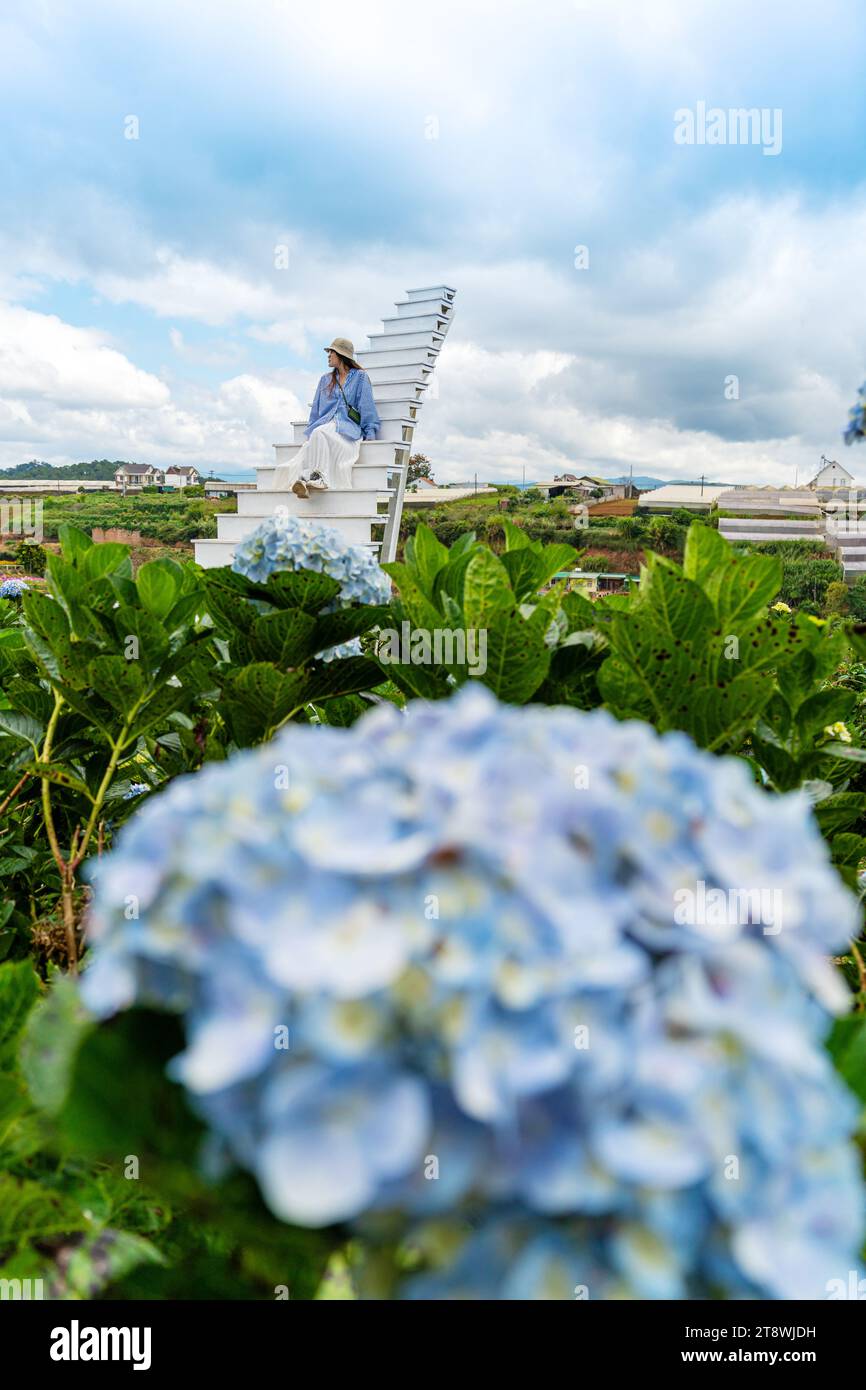 Young woman traveler enjoying with blooming hydrangeas garden in Dalat ...