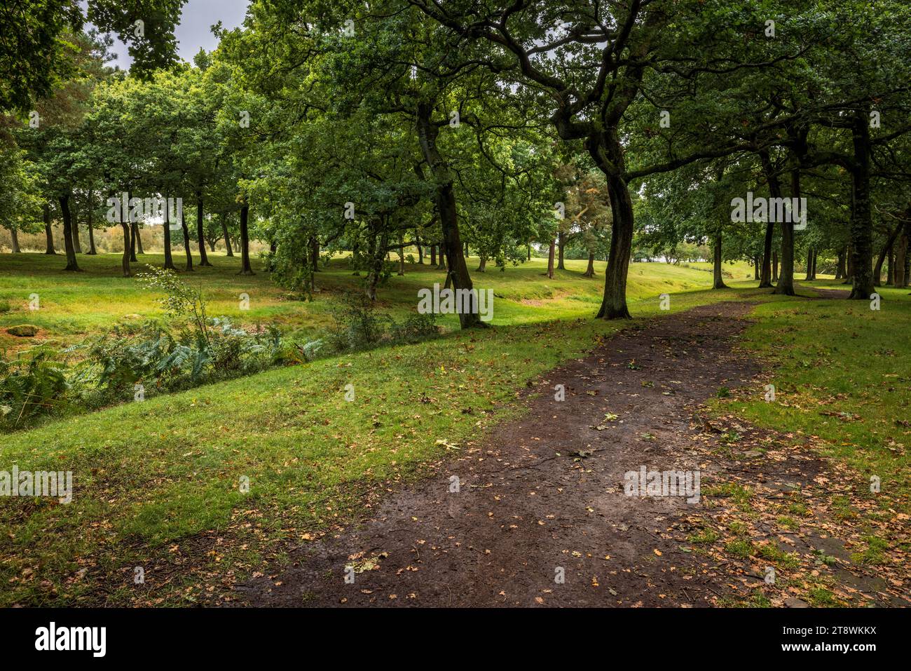 The John Muir Way following the course of the Roman Antonine Wall at ...