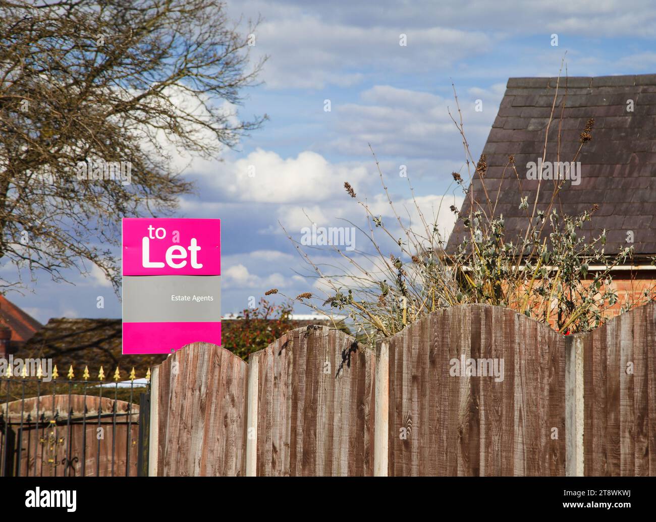 To let sign Stock Photo - Alamy