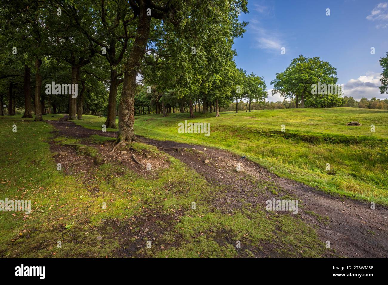The John Muir Way following the course of the Roman Antonine Wall at ...