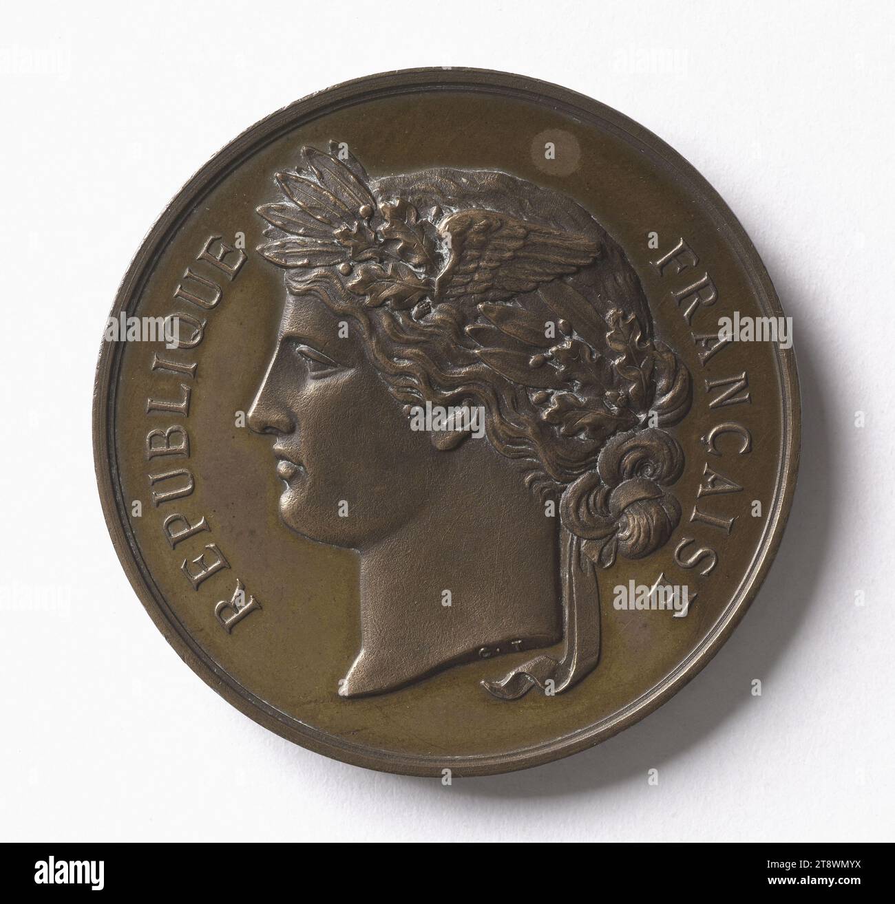 Medal of the Universal Exhibition of Lyon in 1872, Trotin, Charles ...
