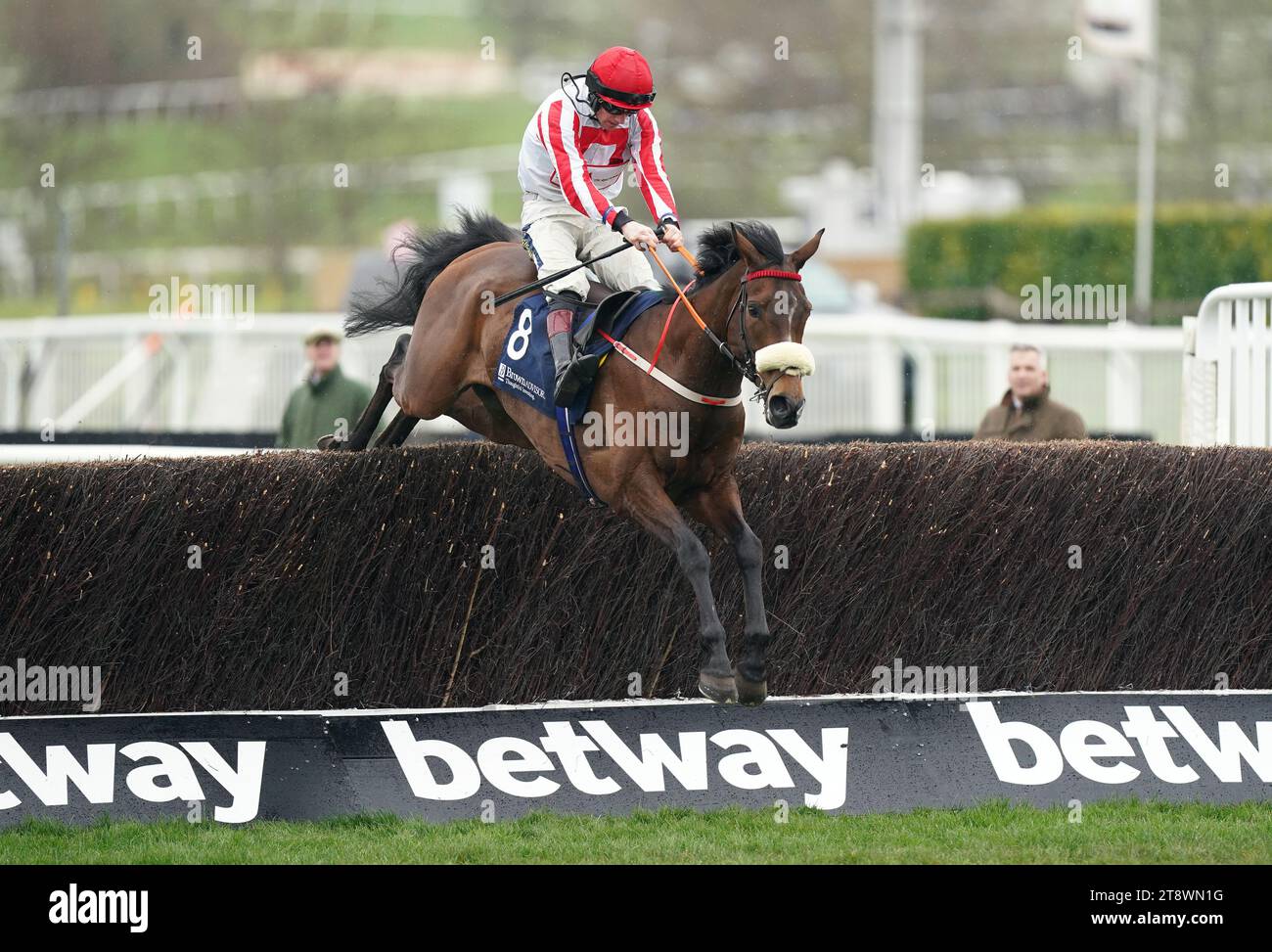 Patrick neville horse hi-res stock photography and images - Alamy