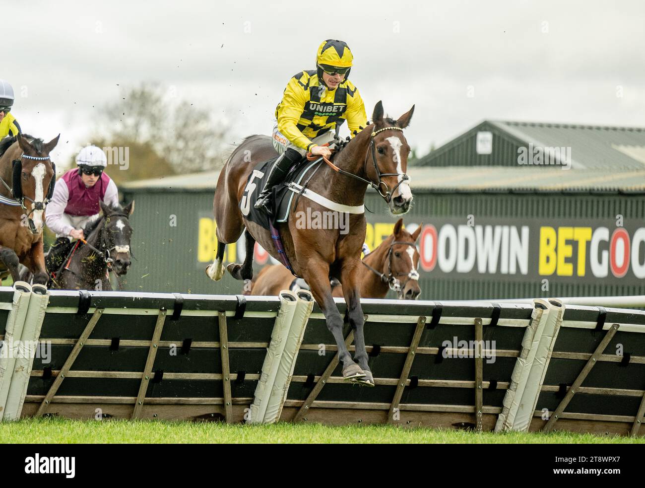 Plumpton racecourse hi-res stock photography and images - Alamy