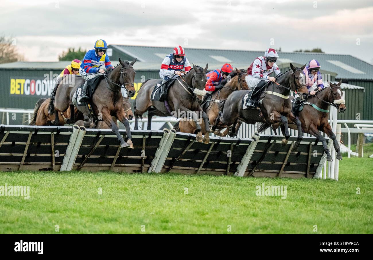 Horse racing action at Plumpton Racecourse, Sussex, UK Stock Photo - Alamy