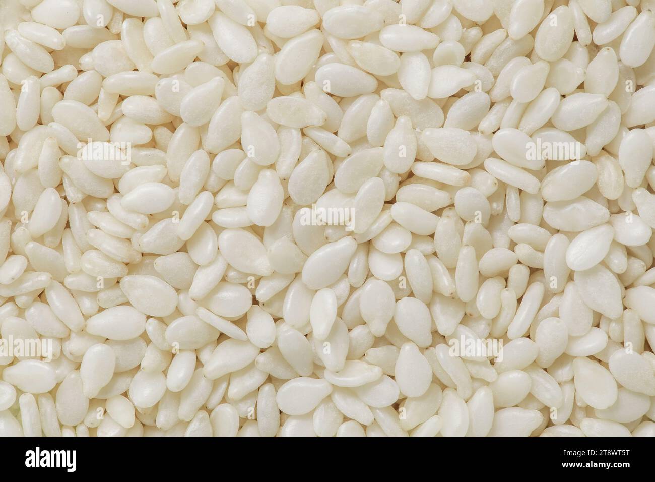 Sesame seeds, background uniform texture, bunch in bulk close-up macro ...