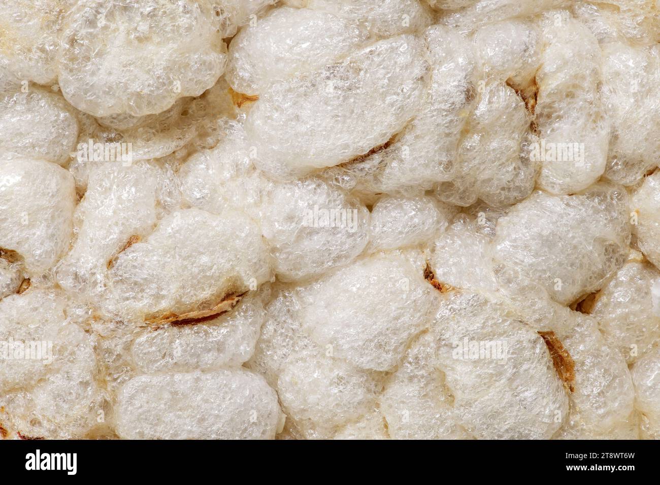 Puffed rice bread, ricecakes, background uniform texture, bunch in bulk ...