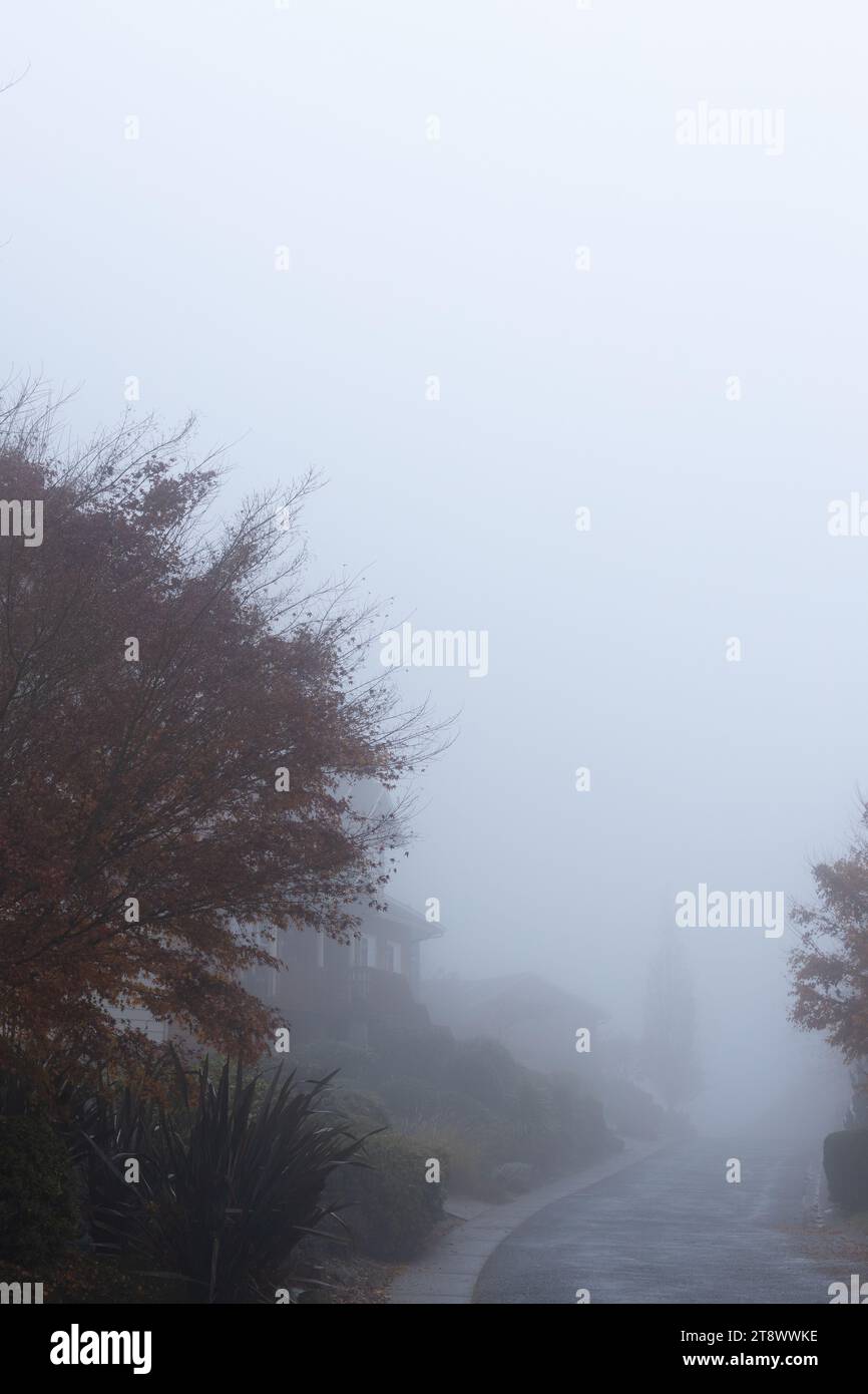 A suburban street in very thick fog Stock Photo - Alamy