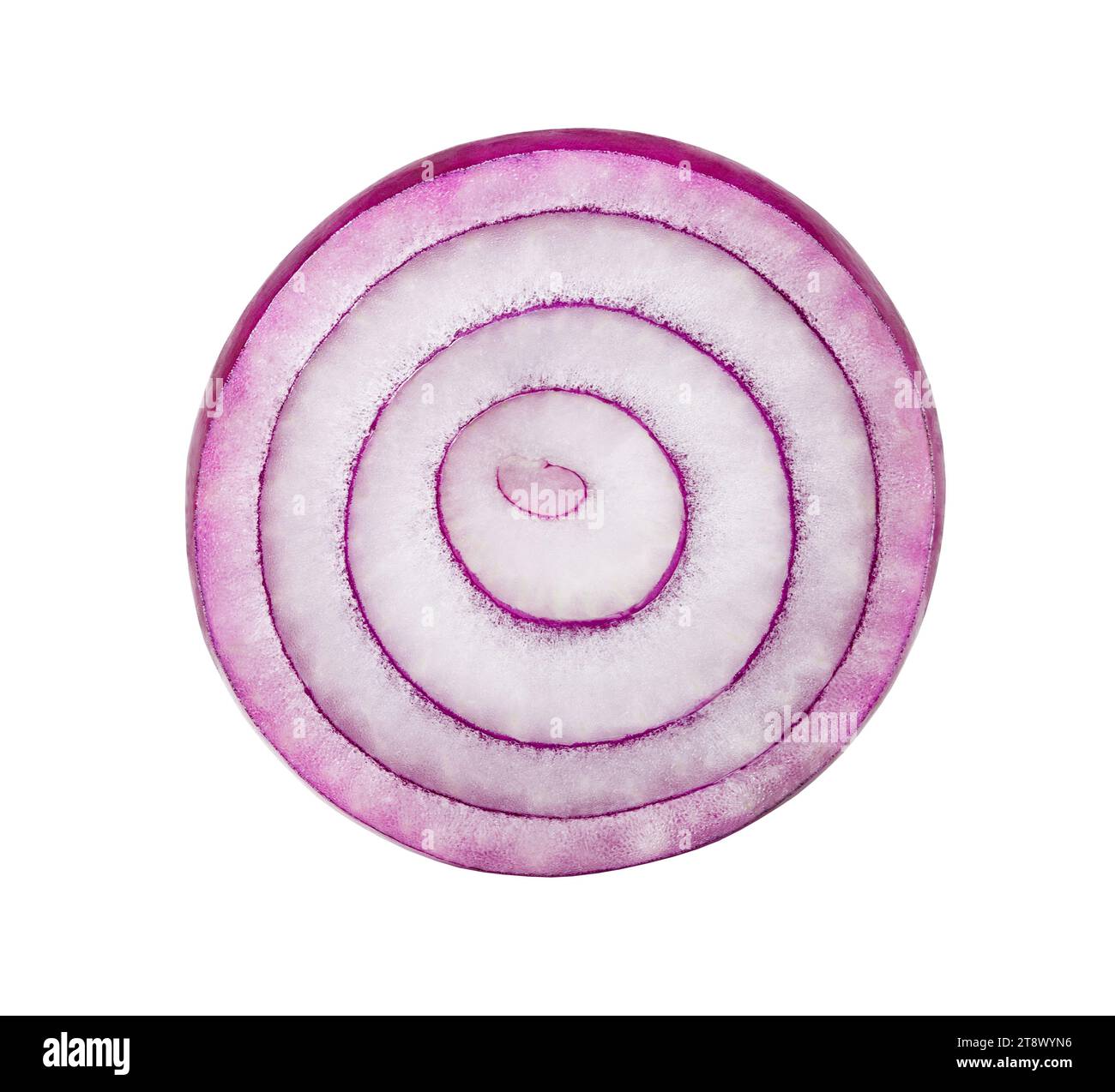 Red onion, cut in half, inner part, isolated on white background with ...