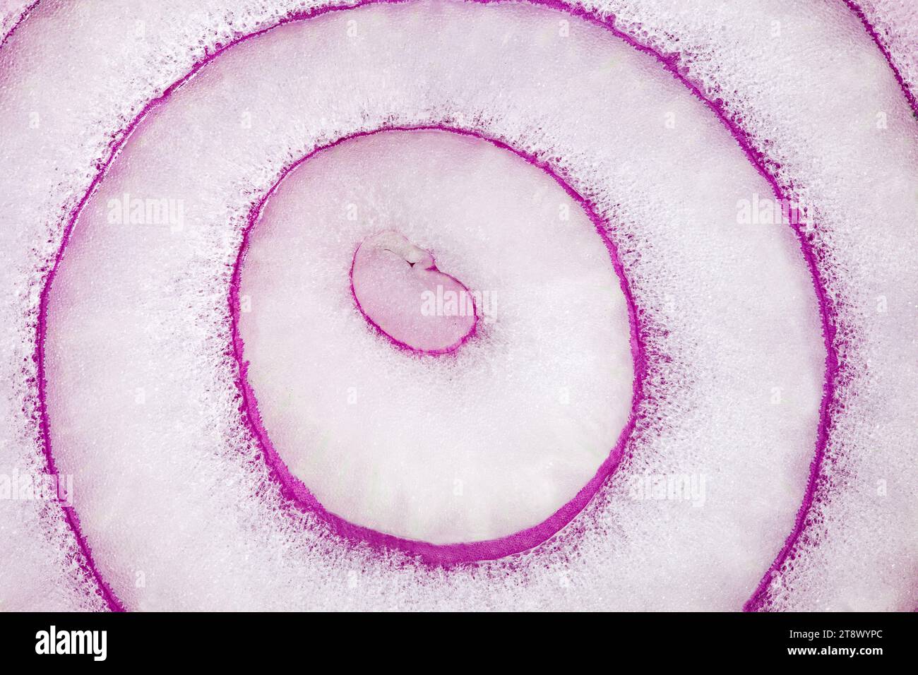 Violet onion and rings hi-res stock photography and images - Alamy