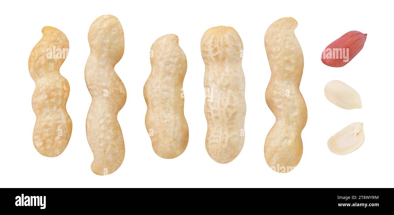 Peanut set, whole and shelled nuts, close-up macro view, isolated on ...