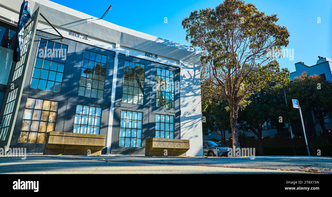 Boarded up window in white office building on sunny day with sycamore ...