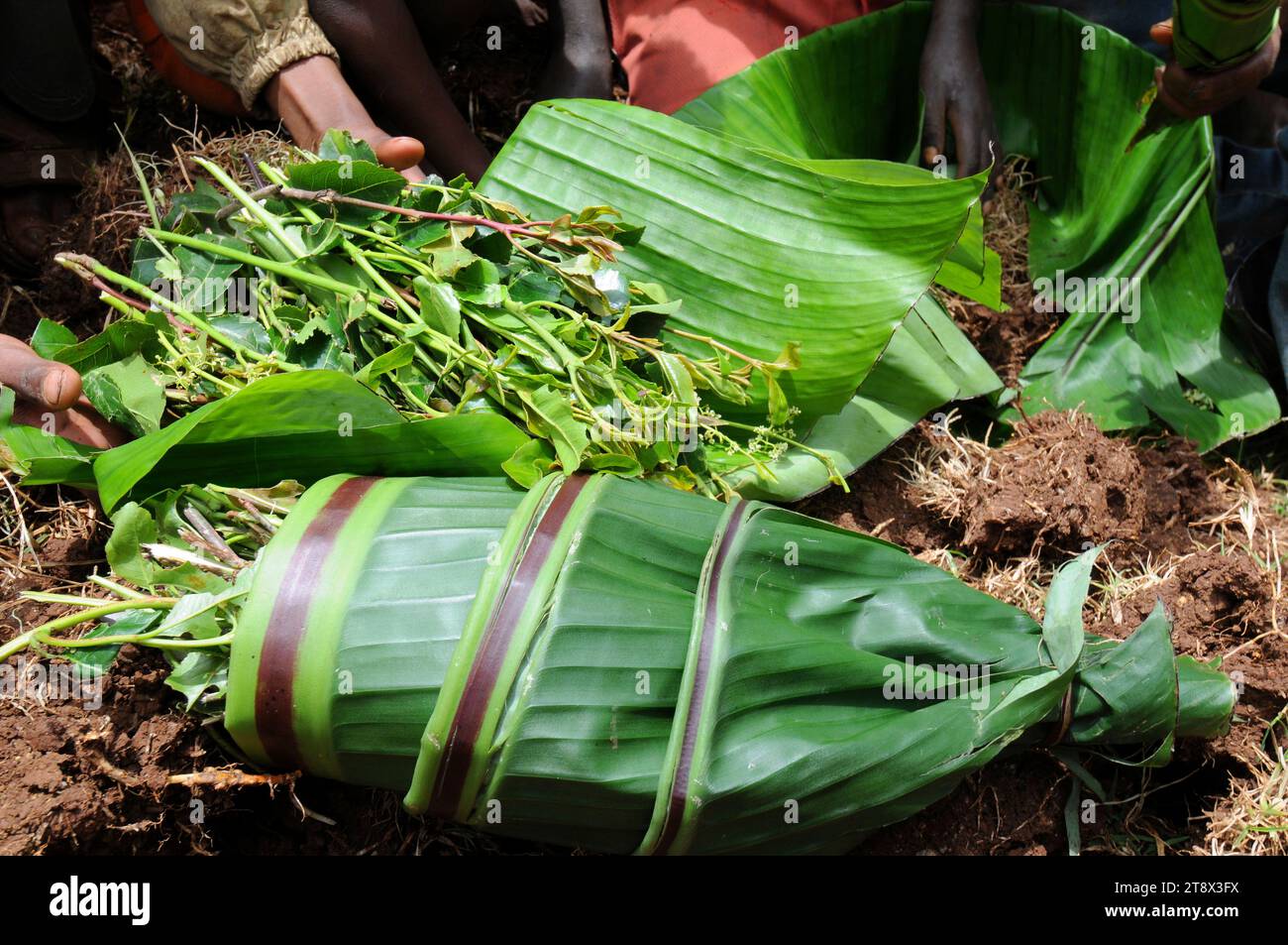 Khat ethiopia hi-res stock photography and images - Alamy