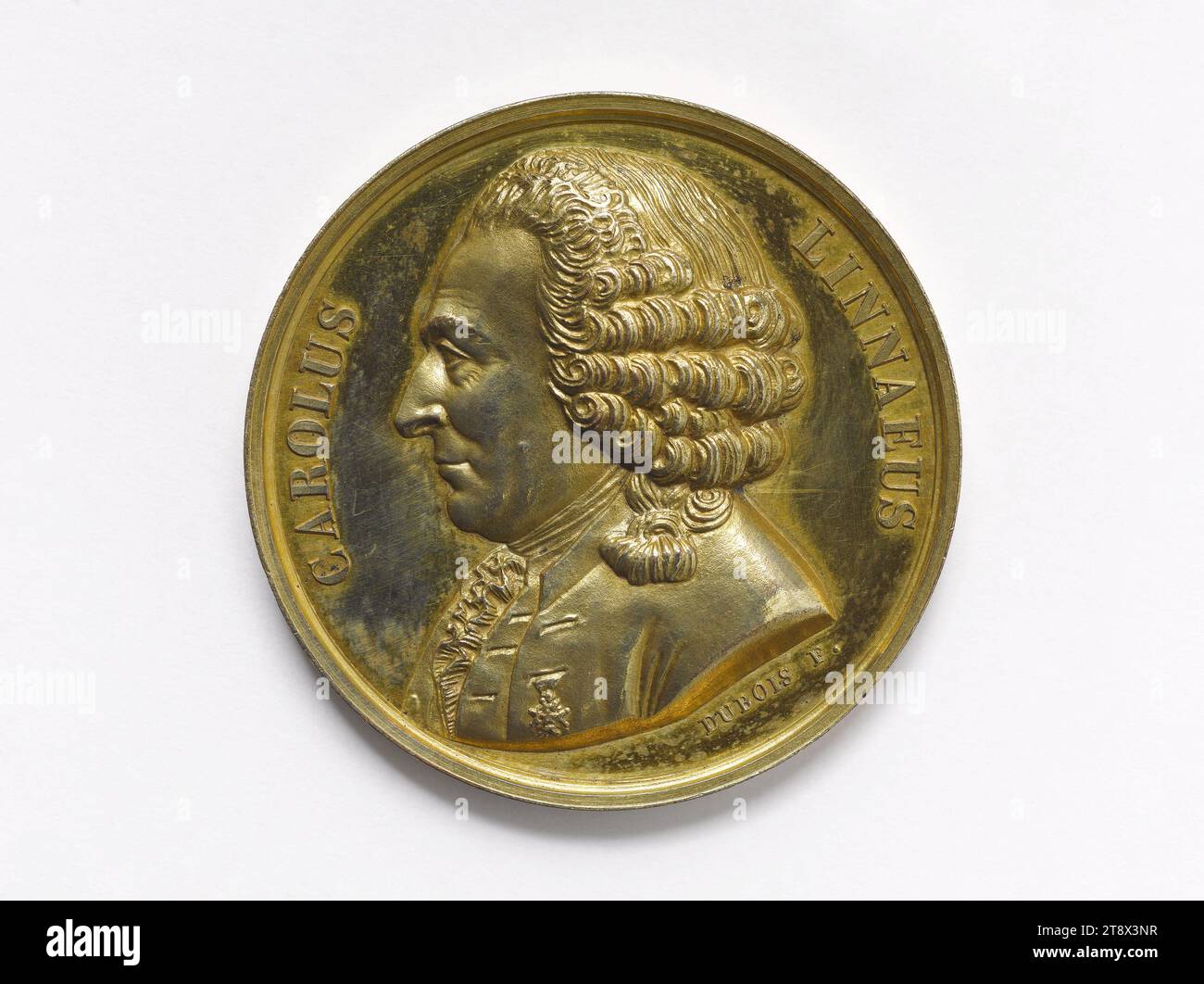 Carl von Linné (1707-1778), Swedish naturalist, 1859, Dubois, Joseph ...