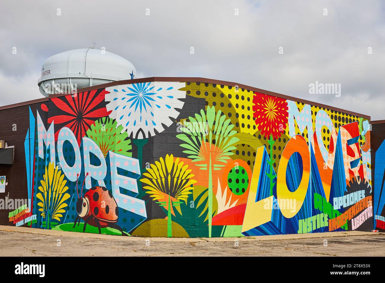 More Love graffiti mural abstract, vibrant colors with ladybug and ...