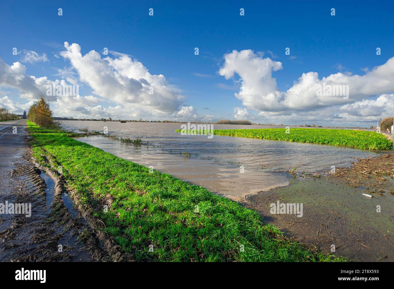 Flanders, Belgium. 17th Nov, 2023. Fields immersed in Flood water, as ...
