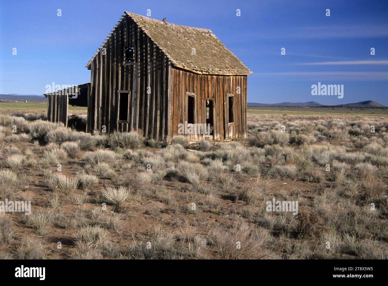Abandoned homestead, Christmas Valley National Back Country Byway ...