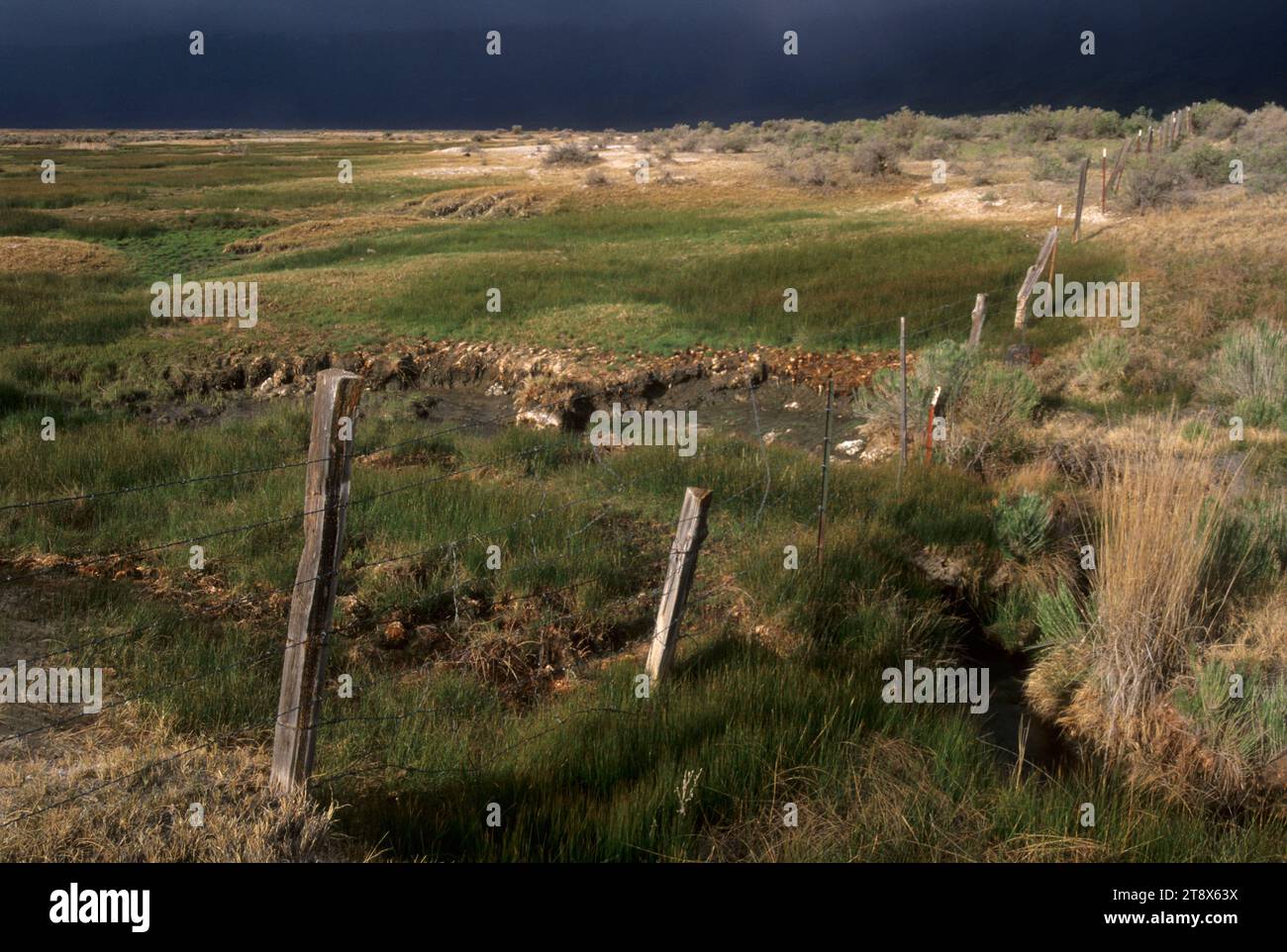 Fenceline with thunderstorm, Oregon Outback Scenic Byway, Summer Lake ...