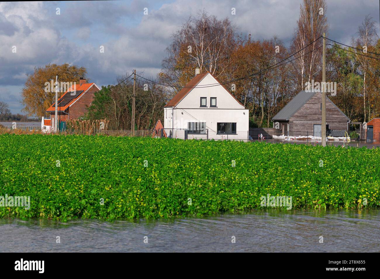 Flanders, Belgium. 17th Nov, 2023. Farm house surrounded by flood water ...