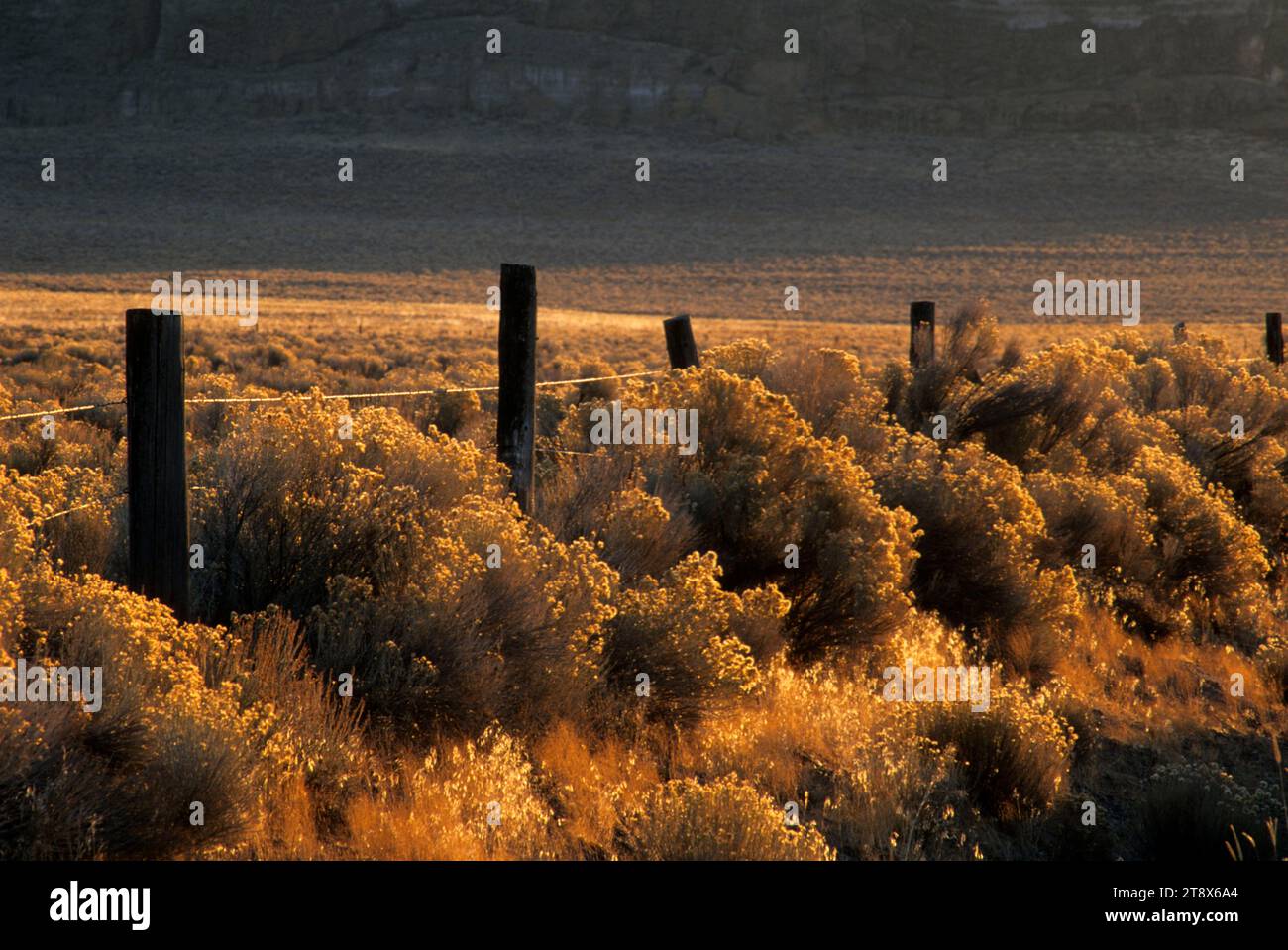 Ranch fence, Christmas Valley National Back Country Byway, Oregon Stock ...