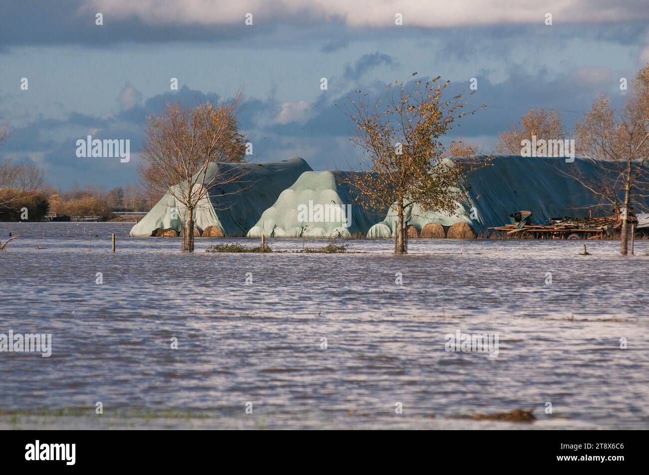 November 17, 2023, Flanders, Belgium: Fields immersed in Flood water ...