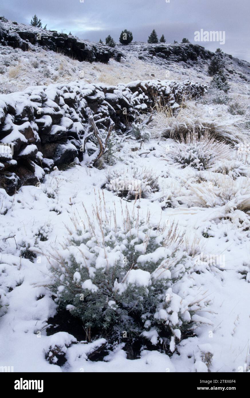 Rockwall in snow, Hart Mountain National Antelope Refuge, Oregon Stock ...