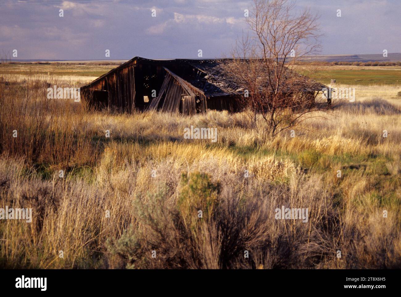 Frenchglen hi-res stock photography and images - Alamy