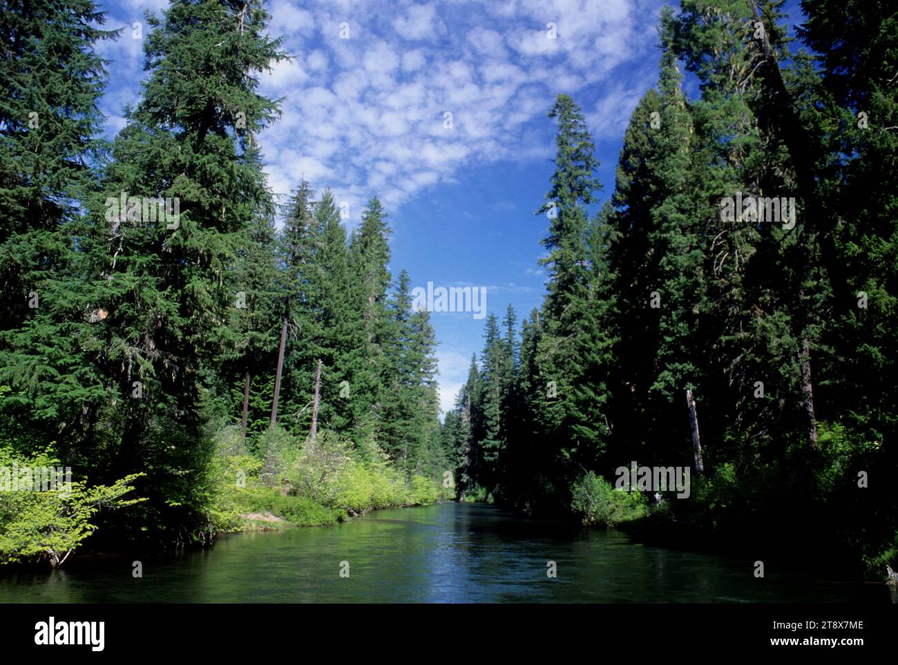 Rogue Wild & Scenic River near River Bridge Campground, Rogue River ...