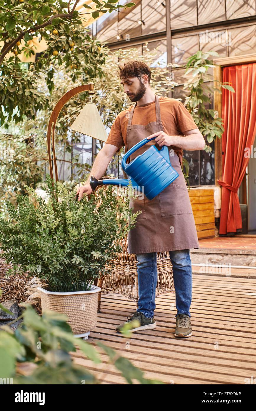 professional gardener in linen apron watering green bush with blue ...