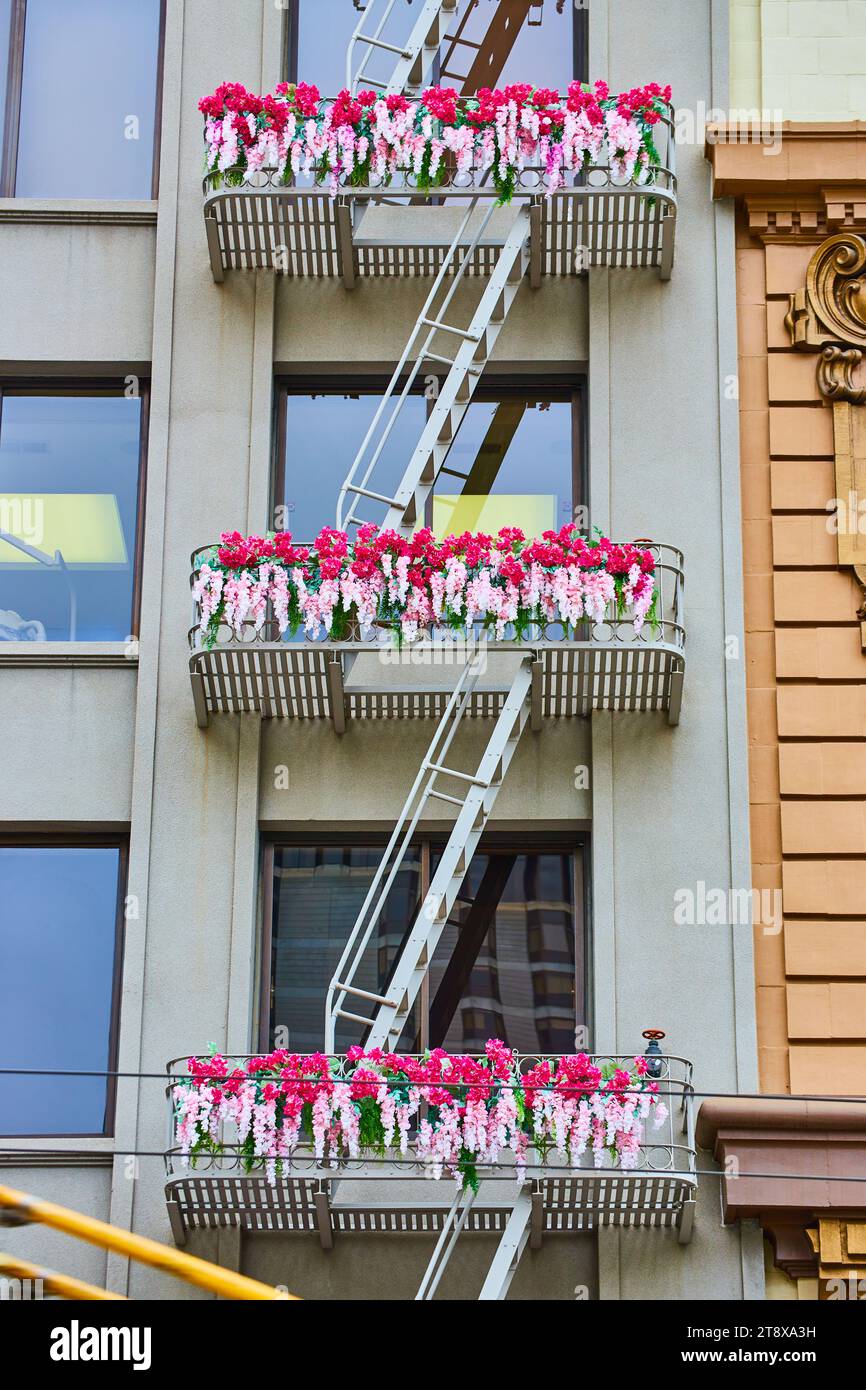 Fire escape ladders with pretty pink flowers decorating emergency exit ...