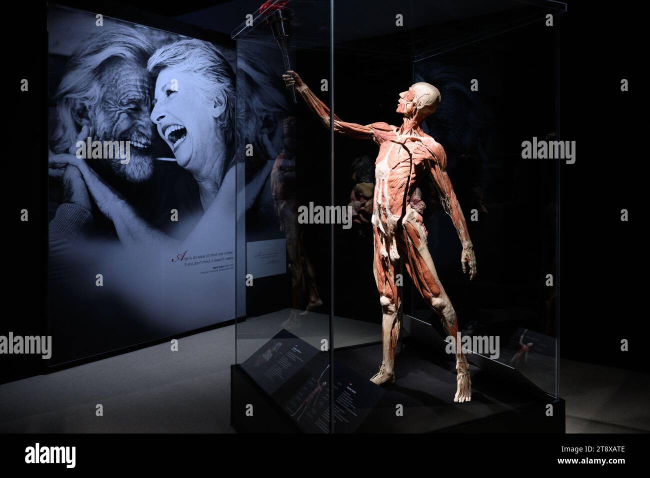 Zagreb, Croatia. 21st Nov, 2023. A plastinate is on a disply during the ...