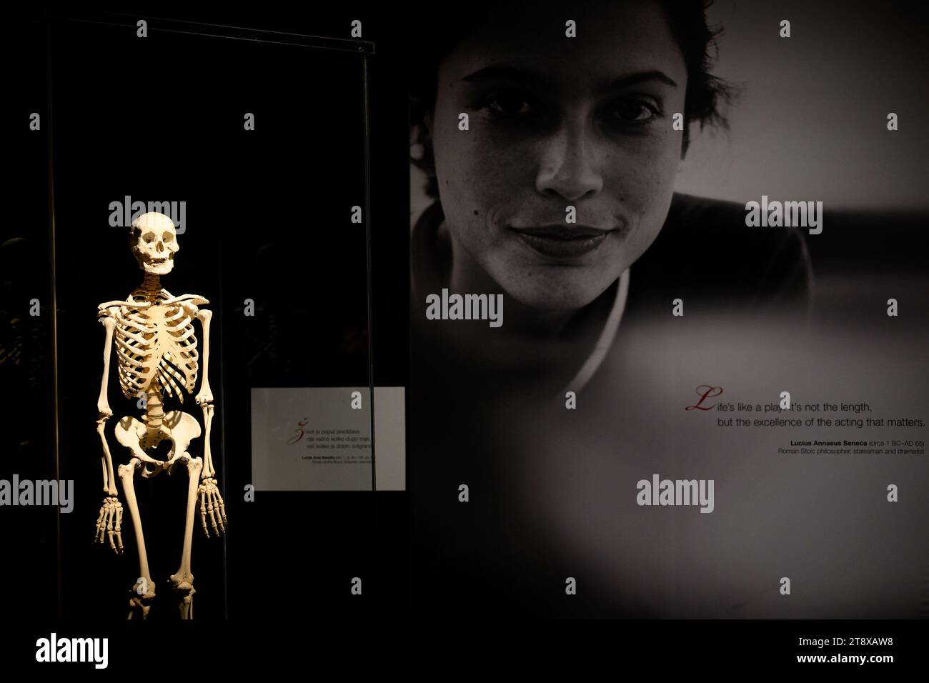 Zagreb, Croatia. 21st Nov, 2023. A plastinate is on a disply during the ...