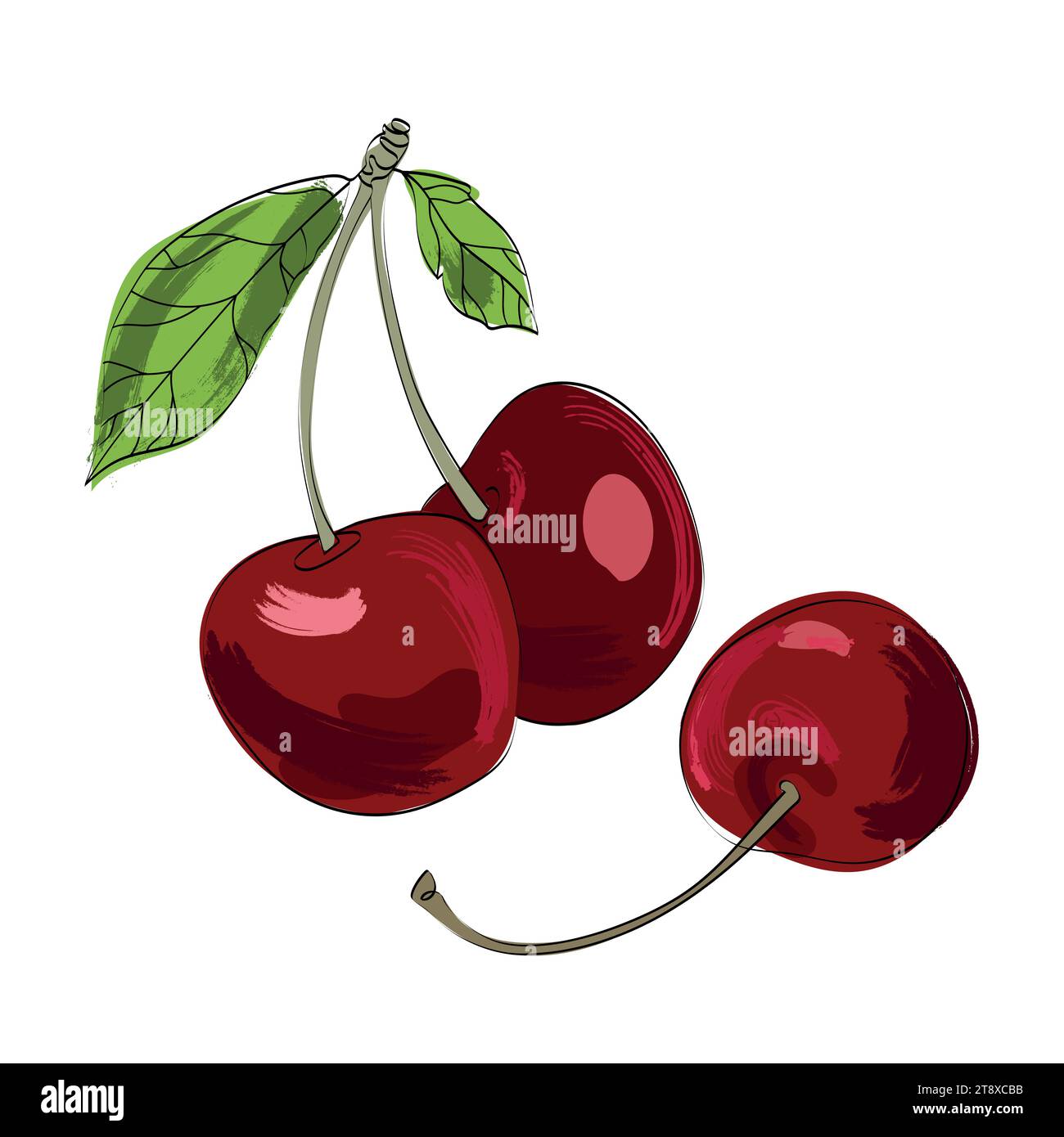 Cherry cartoon sketch isolated vector illustration. Vector graphics ...