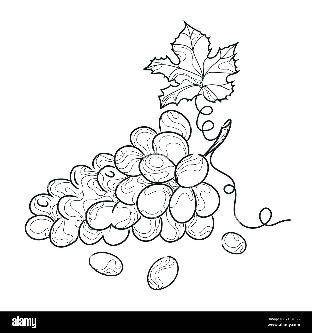 Grape bunch vector illustration.Abstract line art grapes, black and ...